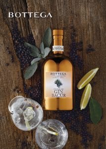 Bacûr gin - Bottega Spa Italian Wines