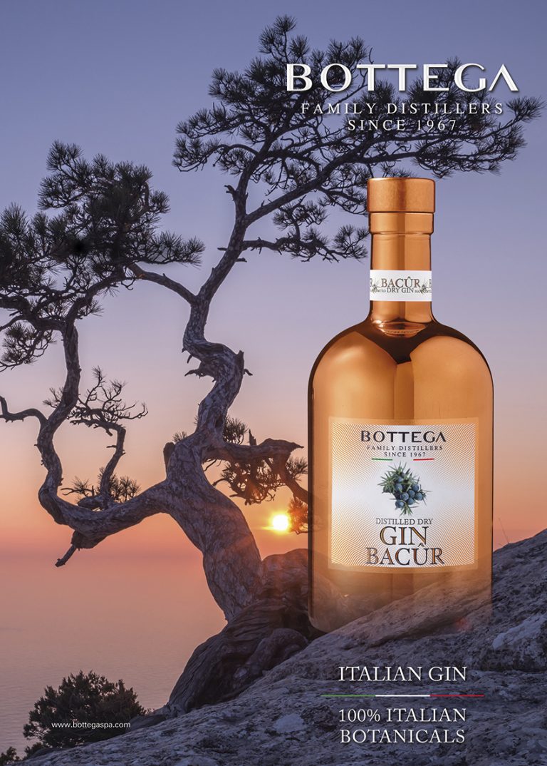 Bacûr gin - Bottega Spa Italian Wines