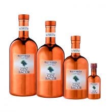 Bacûr gin - Bottega Spa Italian Wines