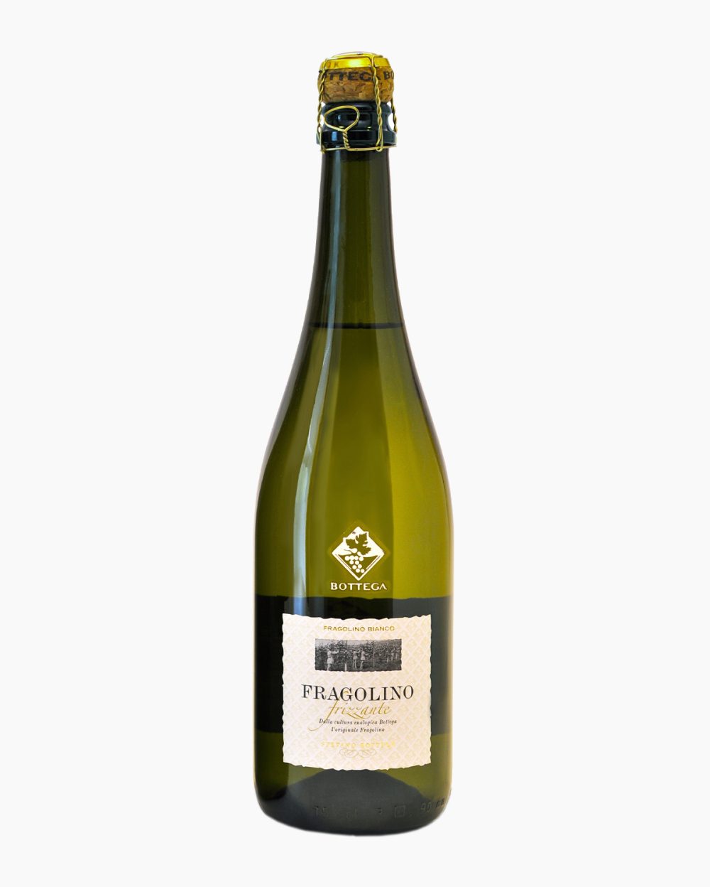 FRAGOLINO BIANCO FRIZZANTE STEFANO BOTTEGA - Bottega spa